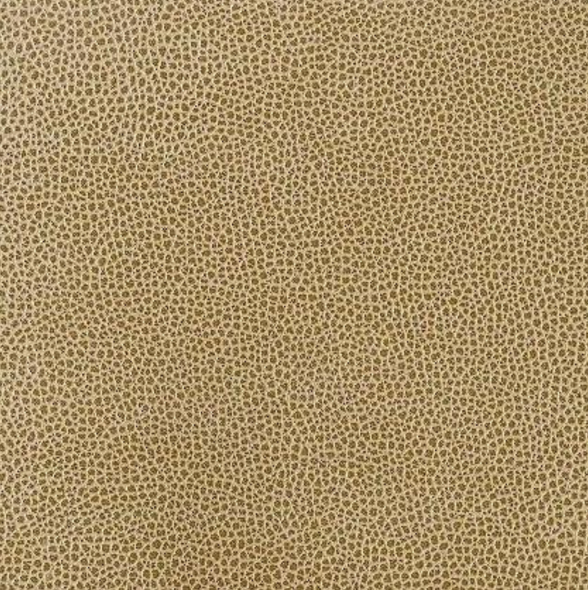 Jerry Pair Leather Cattlelac Buckwheat 10002-5 Protected Leather ...